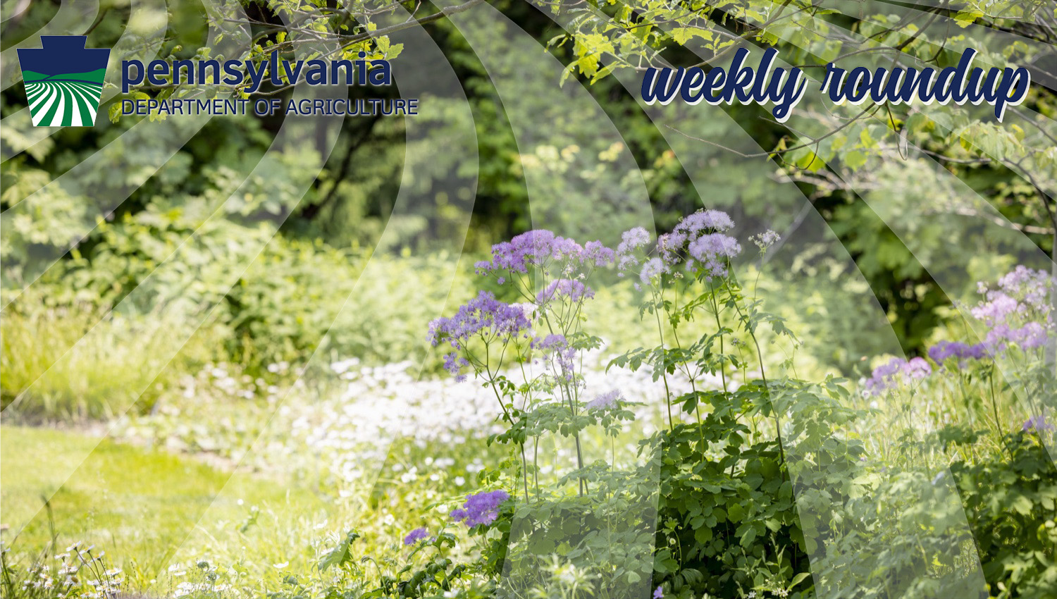 From our friends at PA Dept of Agriculture: - Farm to Table Western PA