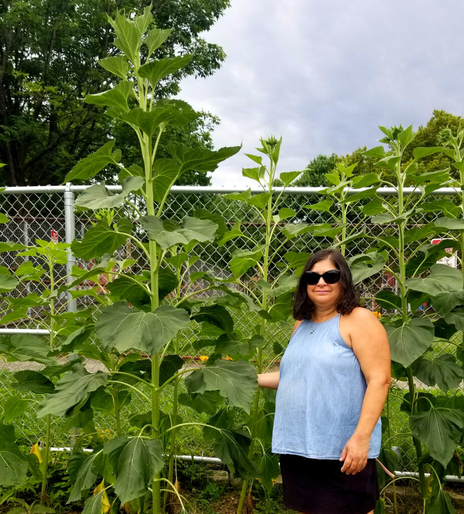 ORMSBY KIDS COMMUNITY GARDEN introduces farming to the future - Farm to ...