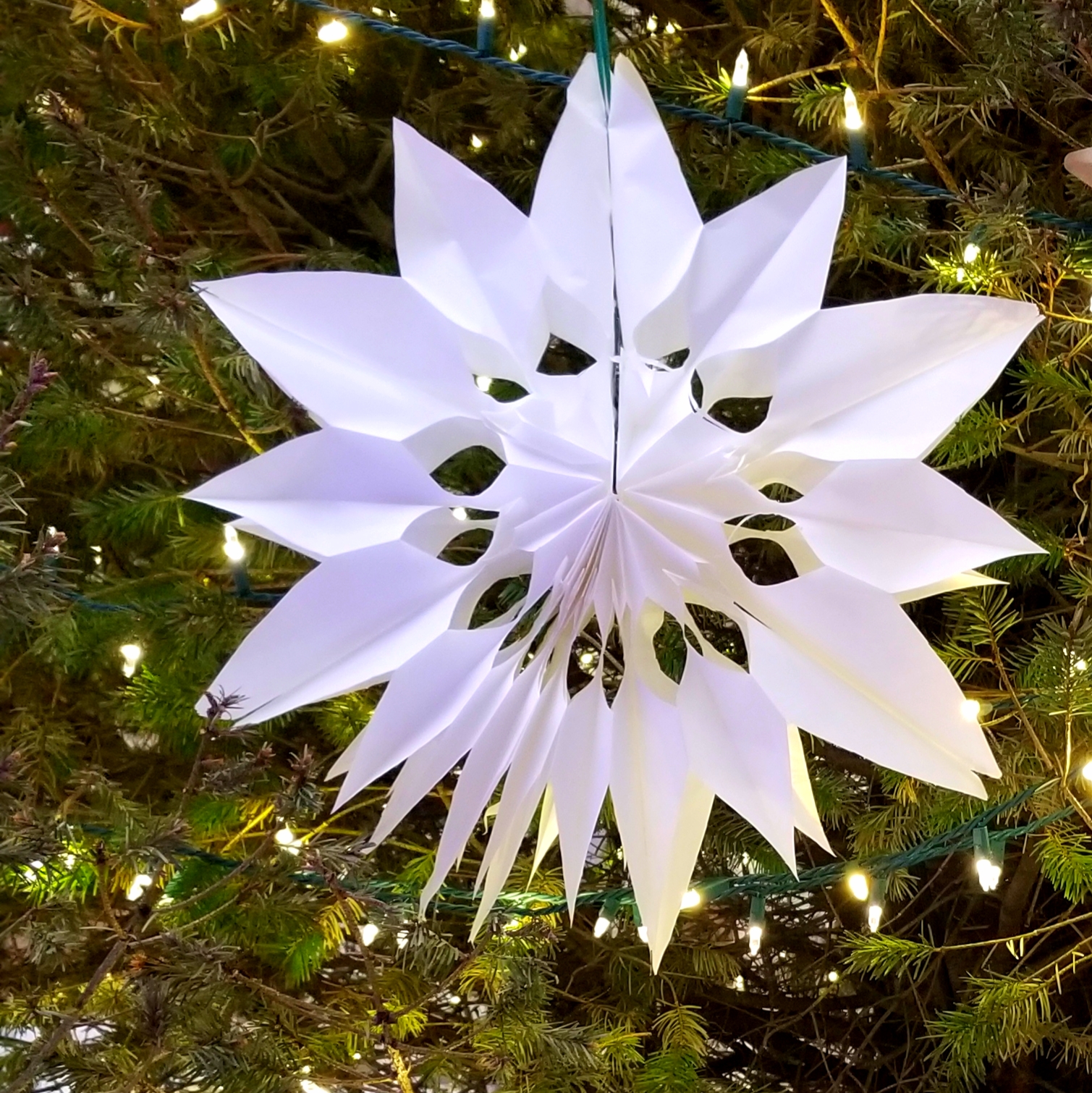 DON'T TRASH THAT TREE! drop-off info for post holiday tree recycling ...