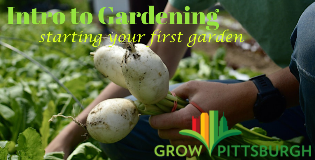 Intro To Gardening with Grow Pittsburgh - Farm to Table Western PA