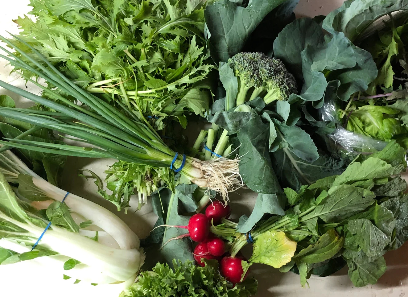 THE 2025 CSA GUIDE IS HERE! - Farm to Table Western PA